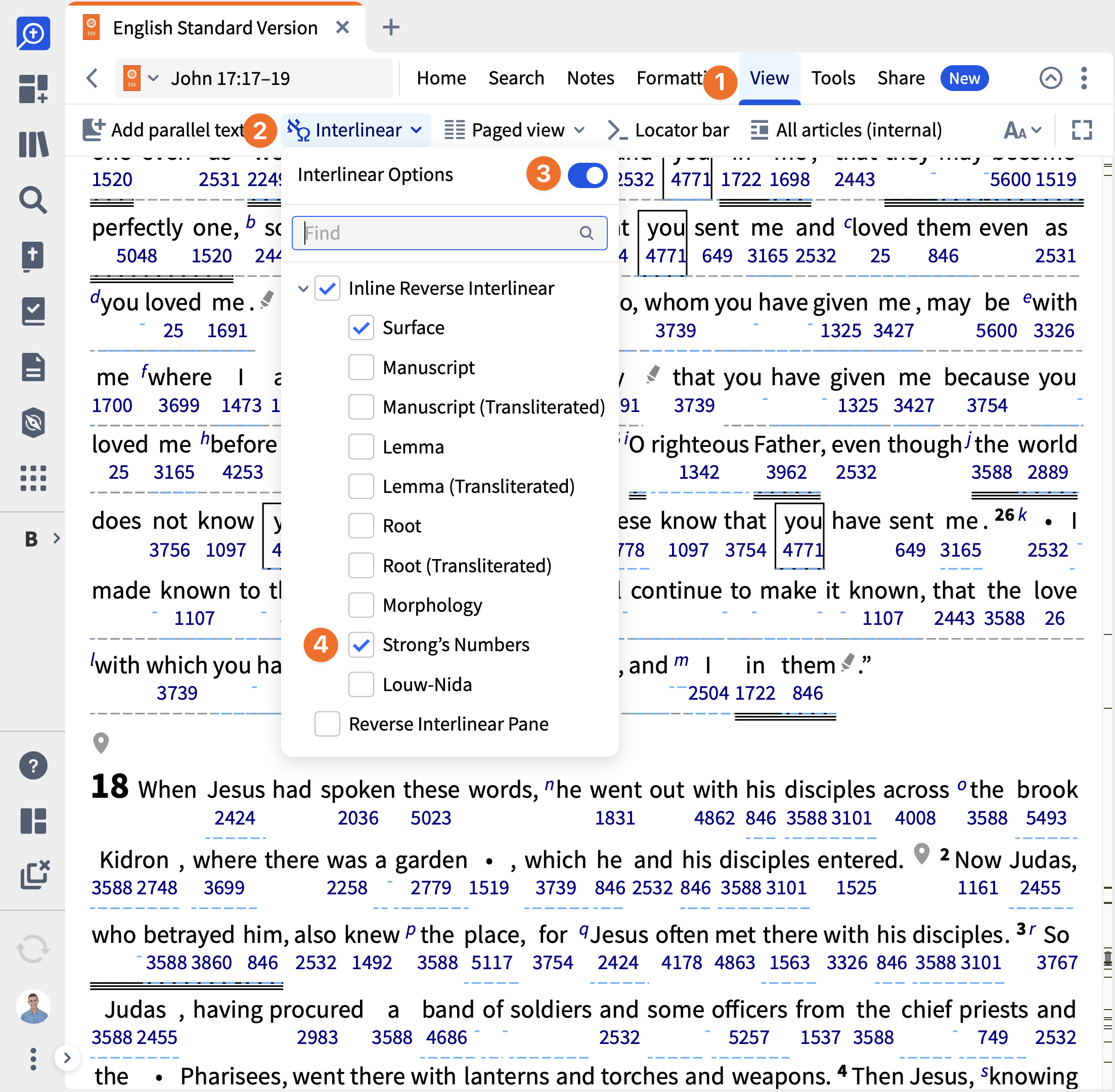 How to Access Strong's Numbers – Logos Help Center